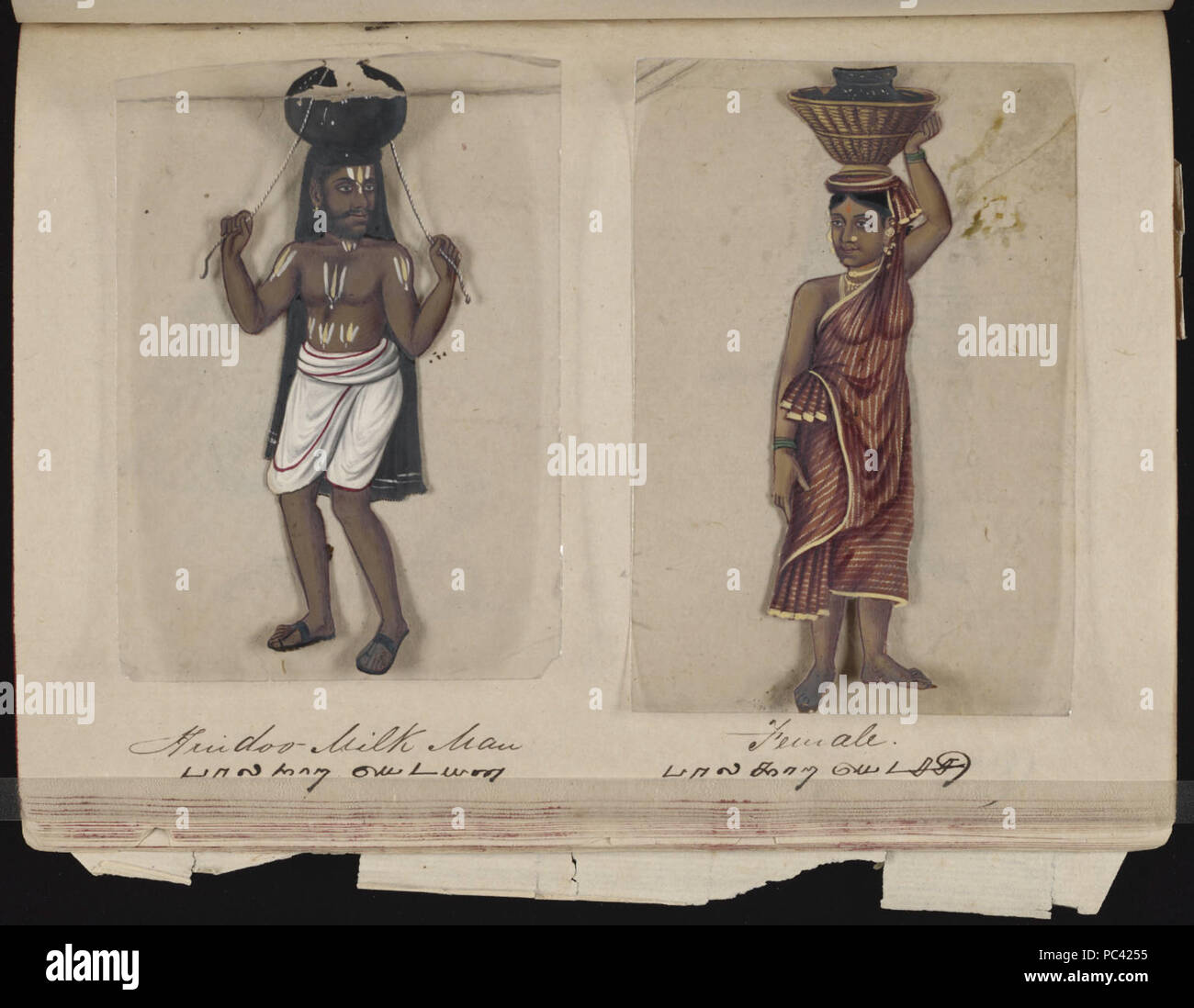 553 Seventy-two Specimens of Castes in India (54 Stock Photo - Alamy