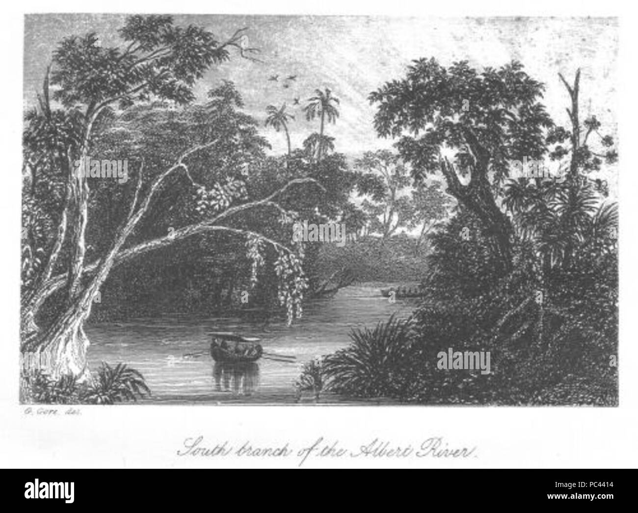 568 South branch of the Albert (Discoveries in Australia Stock Photo ...