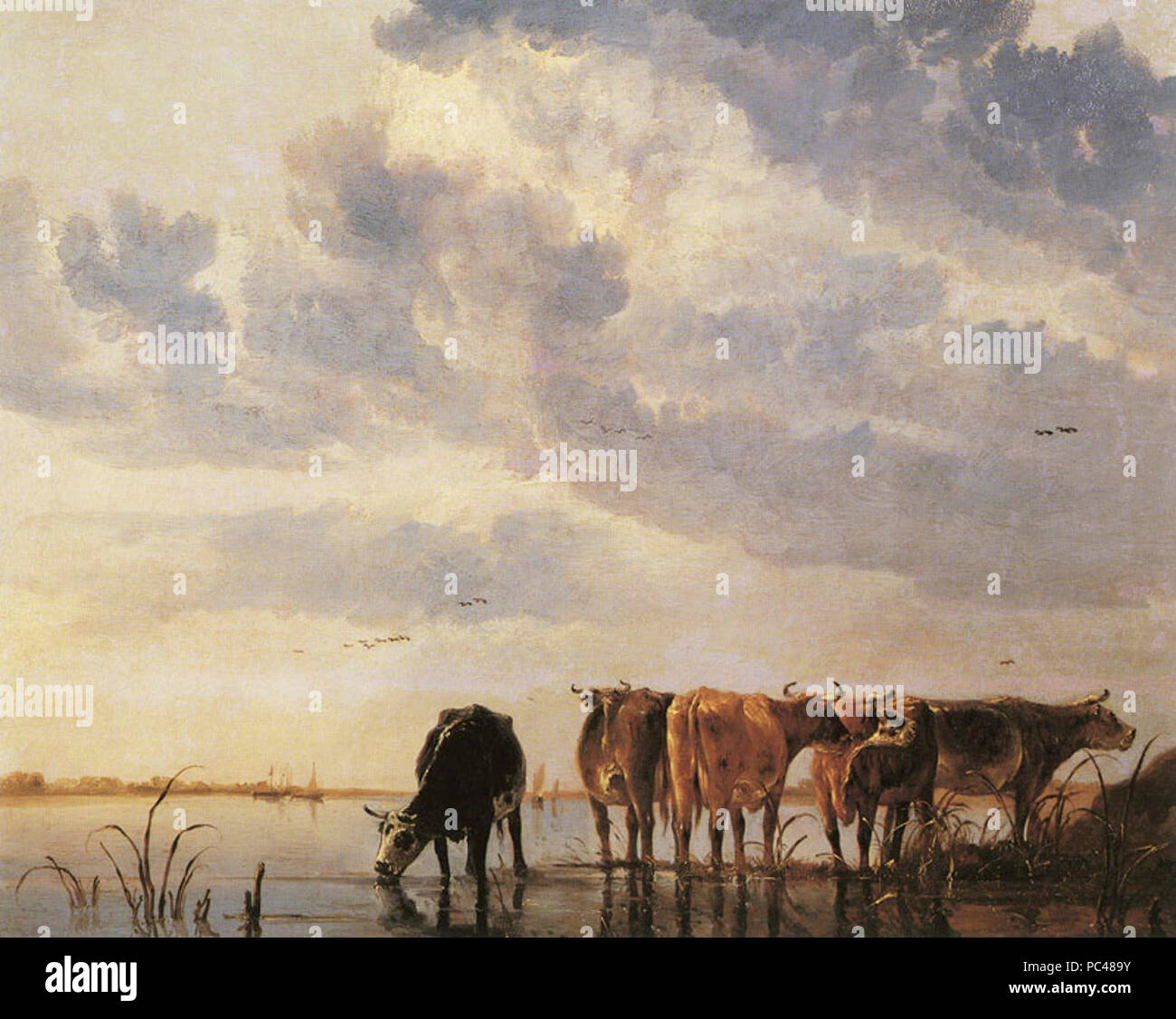 Aelbert Cuyp - Cows in a River 3606 Stock Photo - Alamy