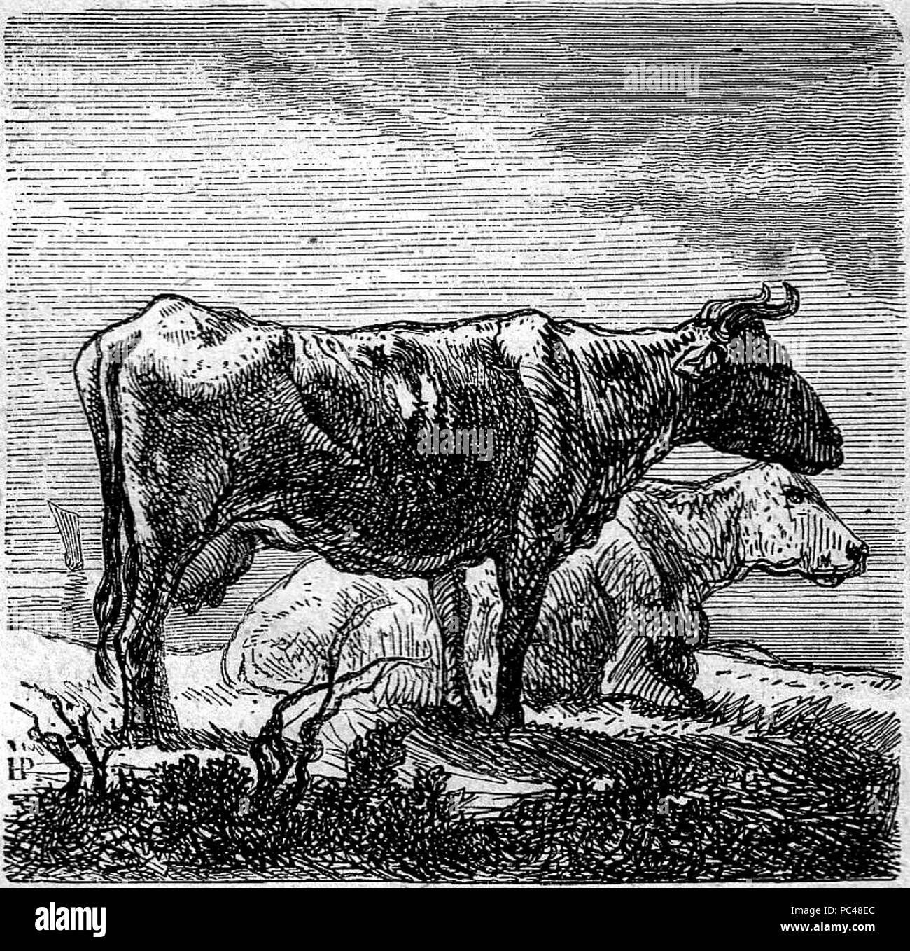 Aelbert cuyp Black and White Stock Photos & Images - Alamy