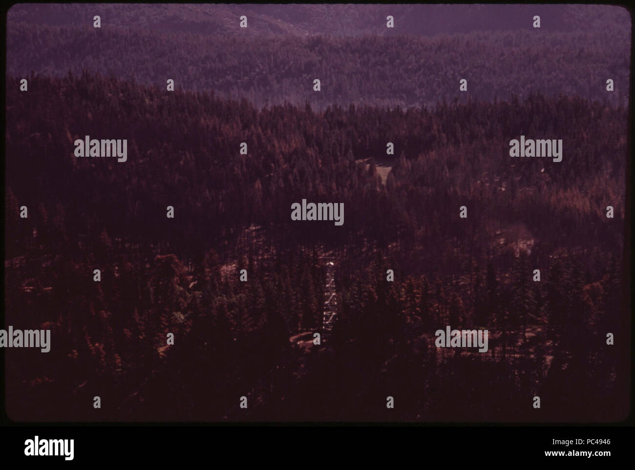 Aerial-view-shows-the-woods-river-forest-service-fire-lookout-although ...