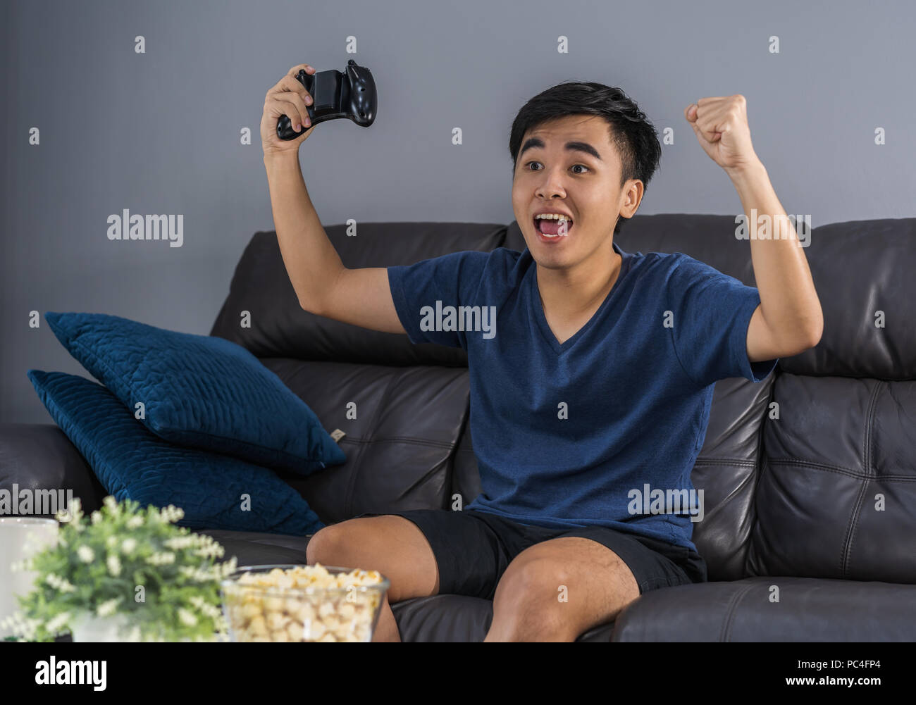 Adult video games hi-res stock photography and images - Alamy