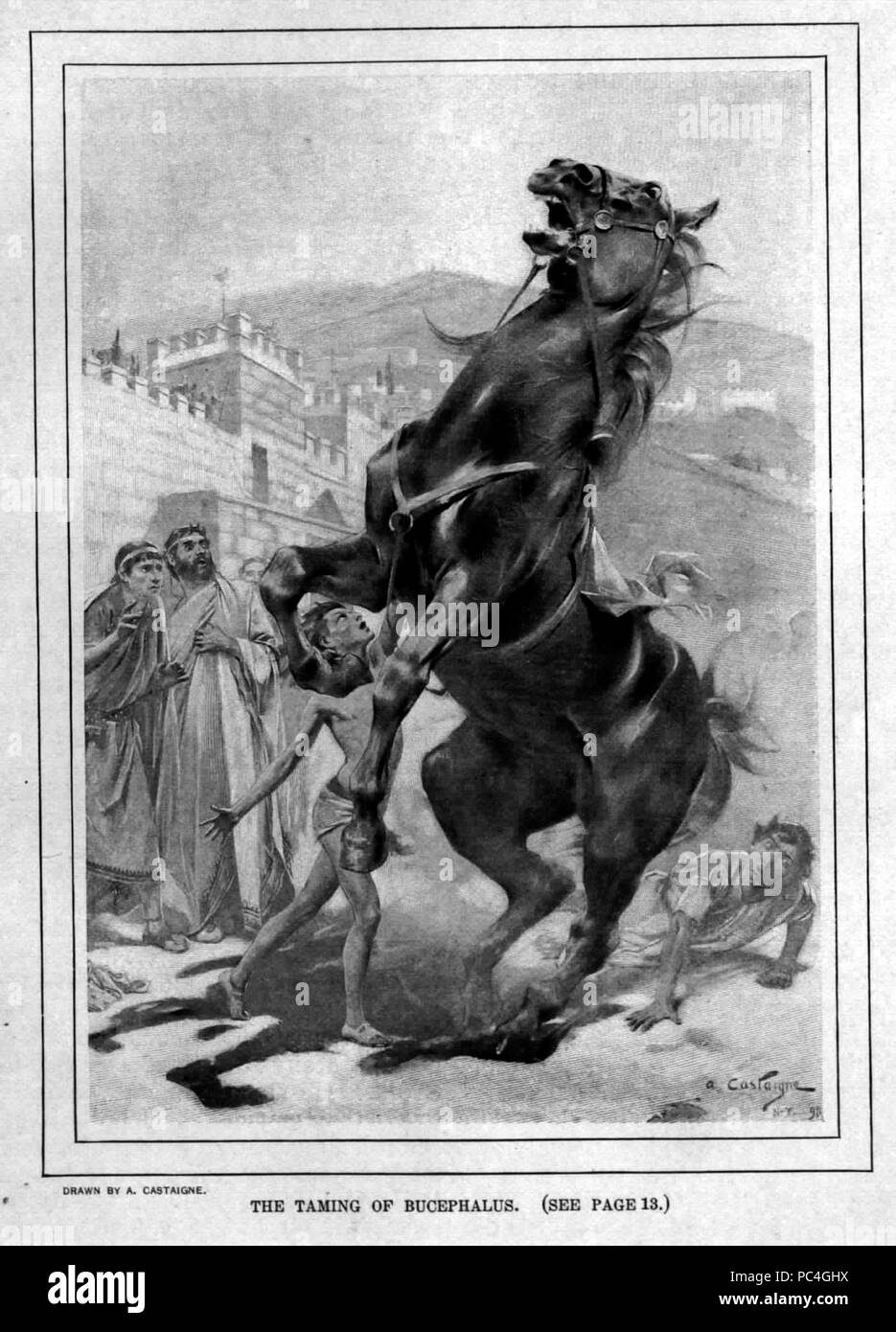 600 The taming of Bucephalus by Andre Castaigne (1898-1899 Stock Photo ...