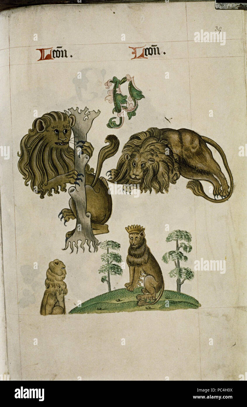 Ashmole bestiary hi-res stock photography and images - Alamy