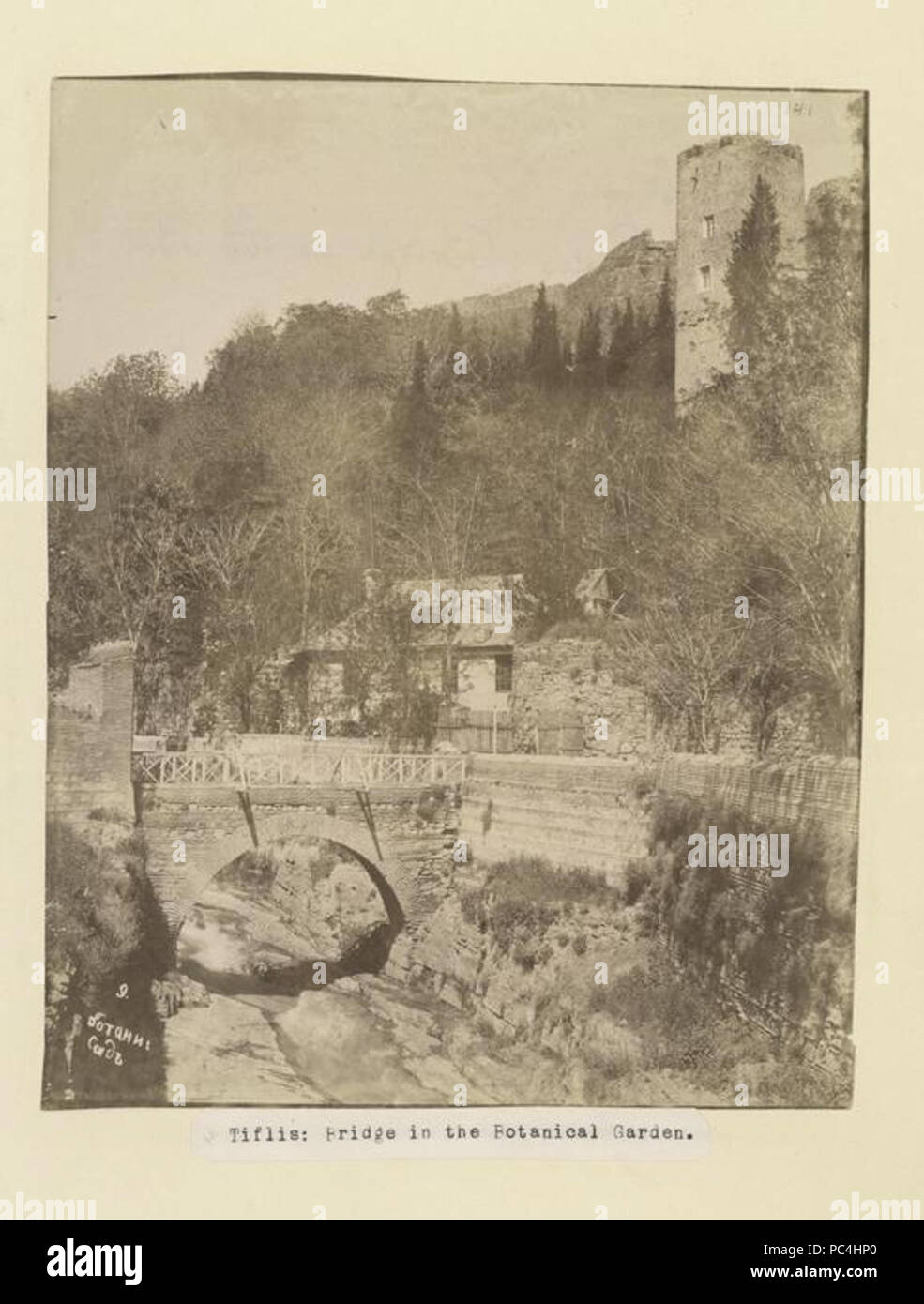 607 Tiflis, Bridge in the Botanical Garden, 1870s Stock Photo - Alamy