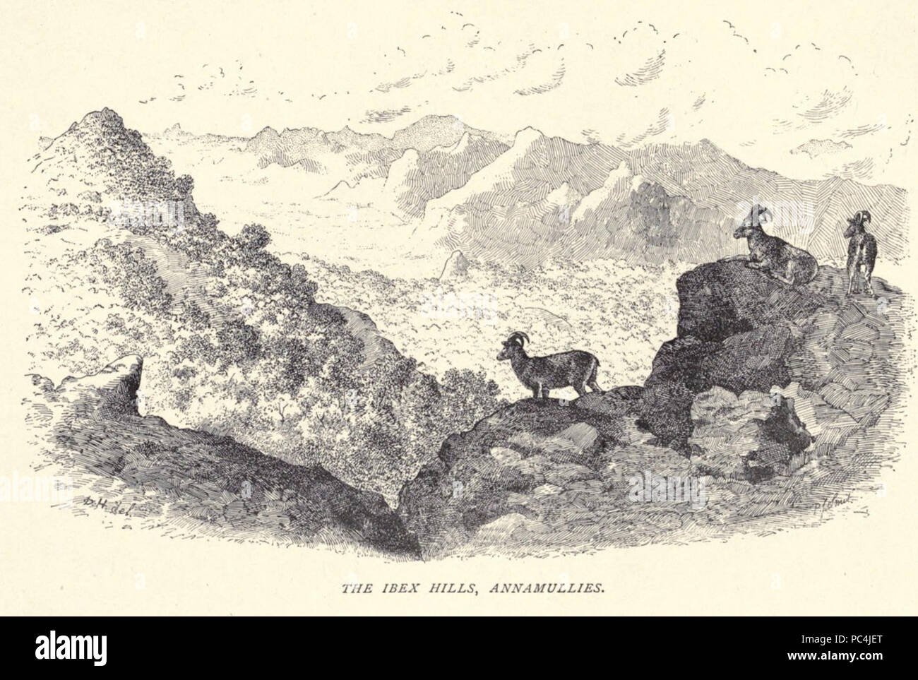 169 Douglas Hamilton, the Ibex Hills, Annamullys Stock Photo - Alamy