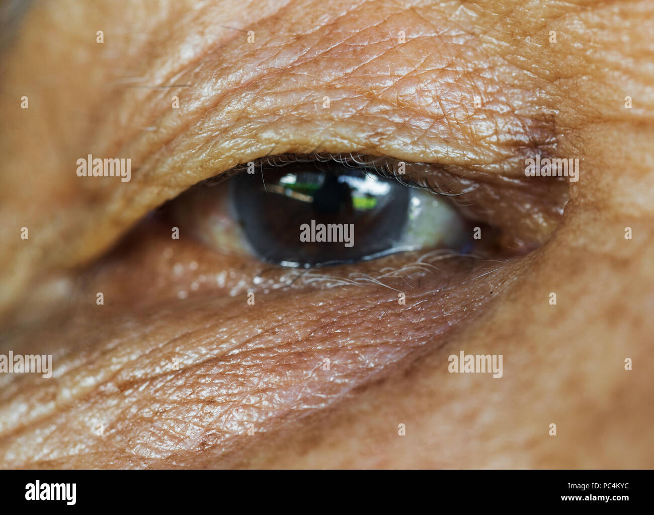 Wrinkled face human close hi-res stock photography and images - Alamy