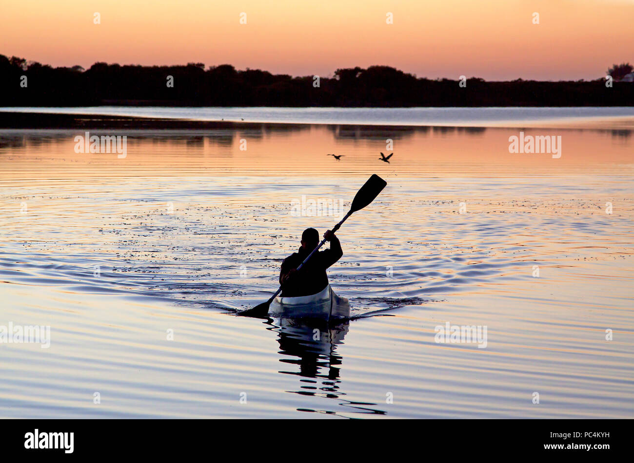 Canoing on lake Stock Photo - Alamy