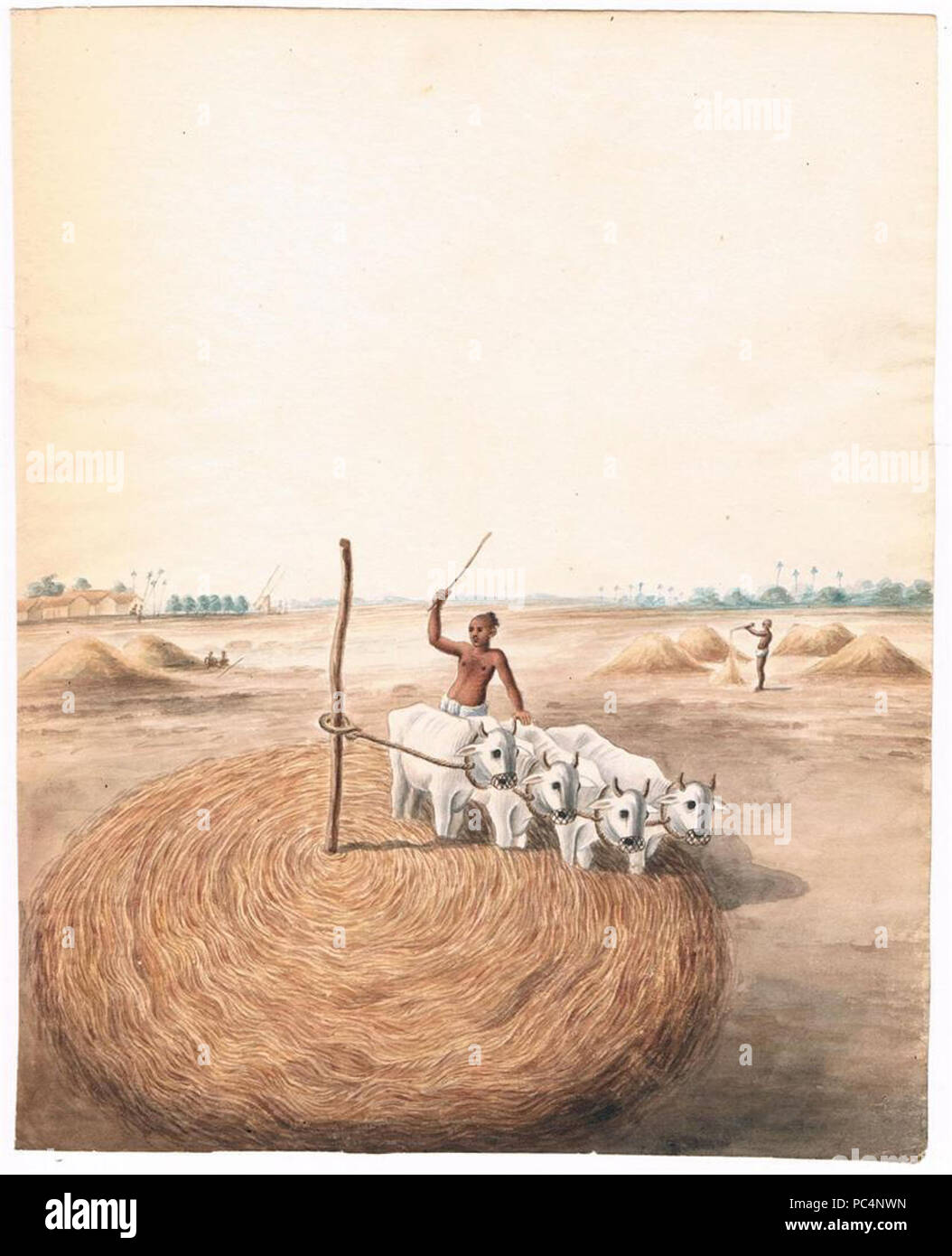 614 Treader-out of Grain Stock Photo - Alamy