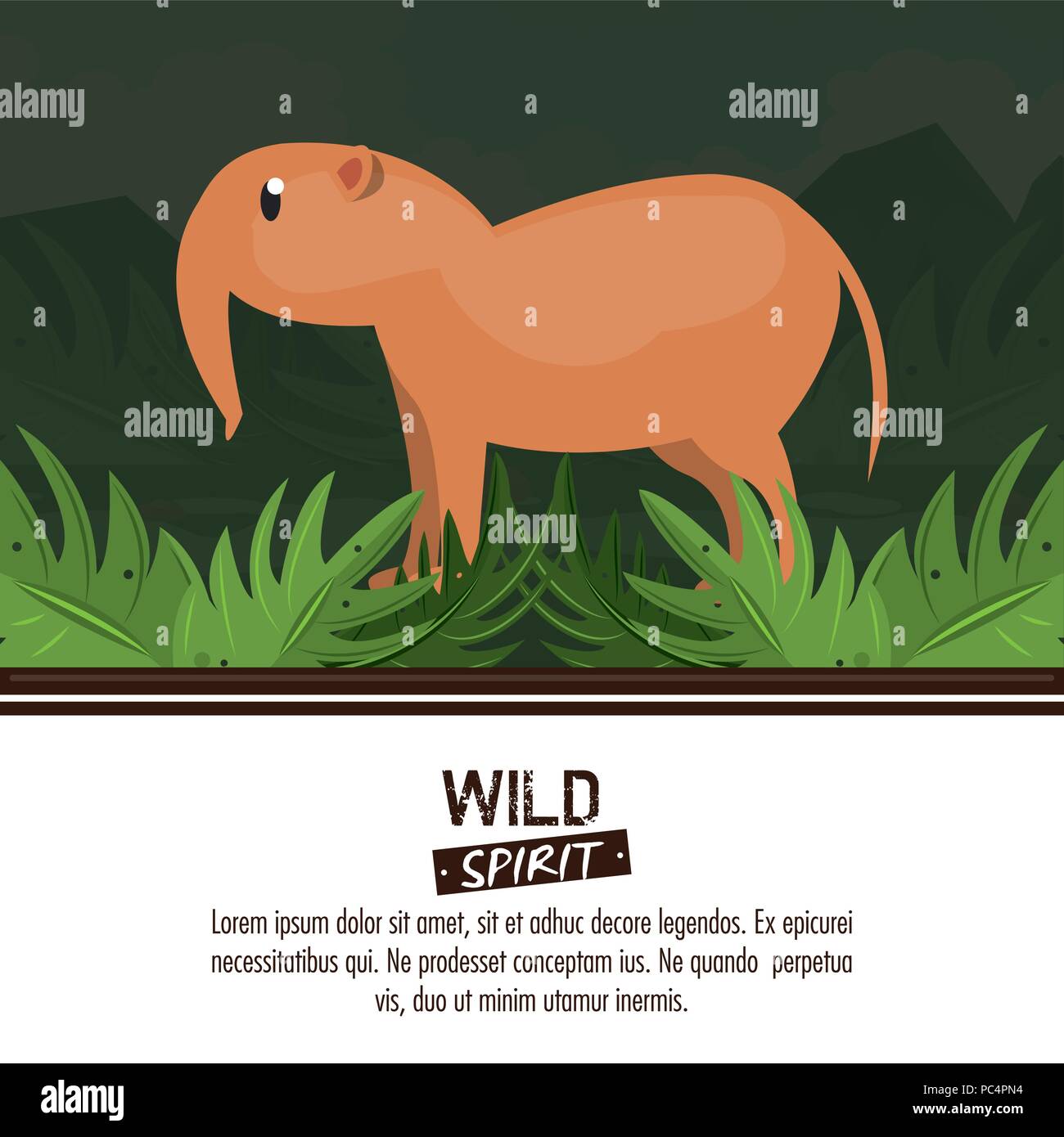 Wildlife information poster Stock Vector Images - Alamy