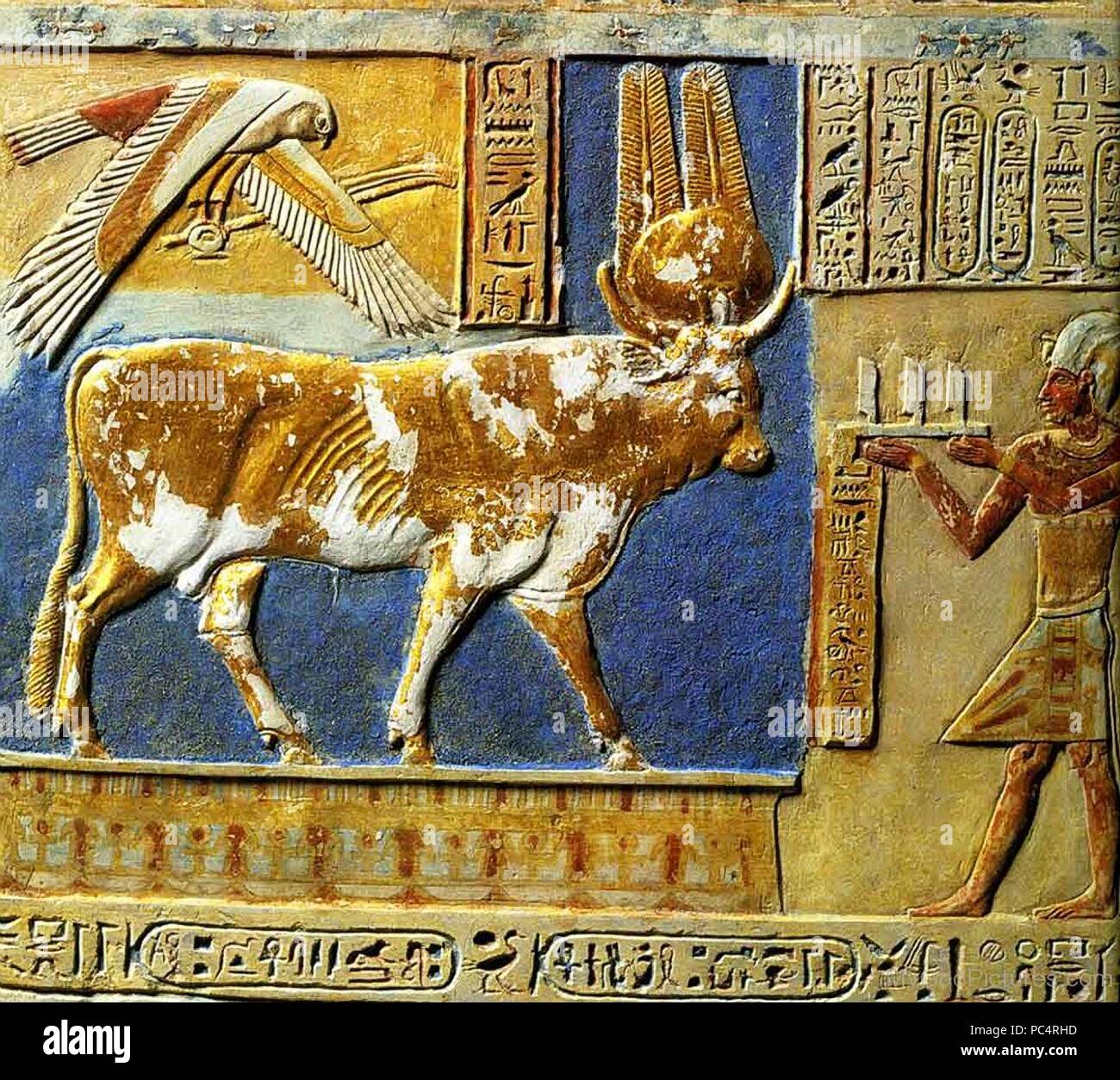 The apis bull hi-res stock photography and images - Alamy