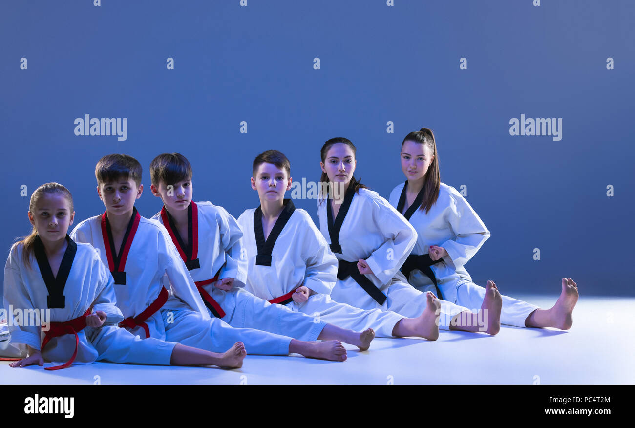 The studio shot of group of kids training karate martial arts Stock ...