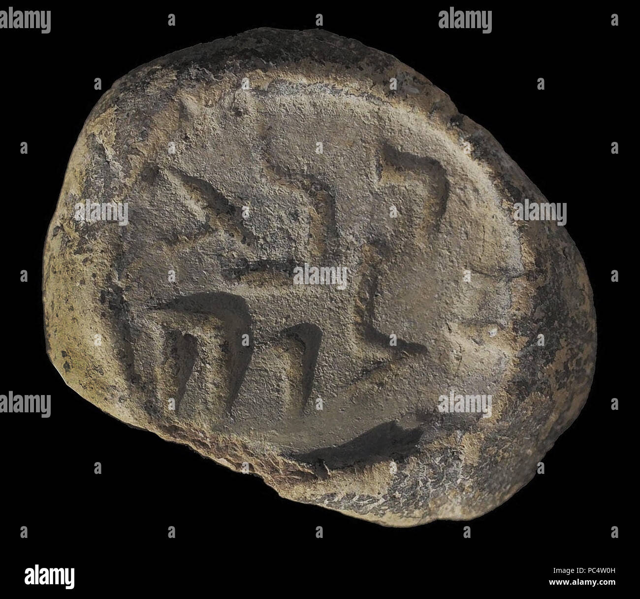 Bulla seal hi-res stock photography and images - Alamy