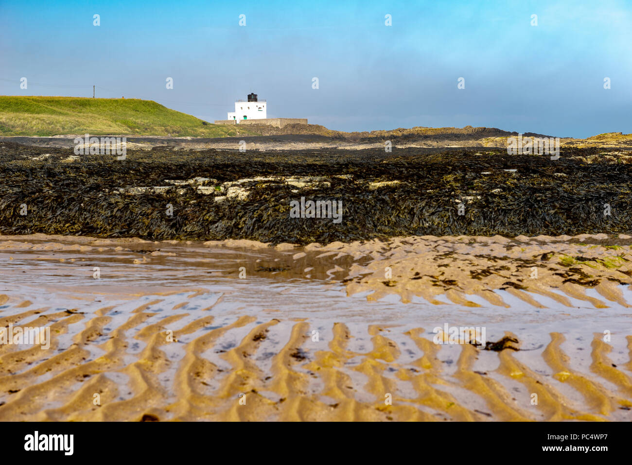 Bamburgh Lighthouse, Bamburgh, Northumberland Stock Photo - Alamy