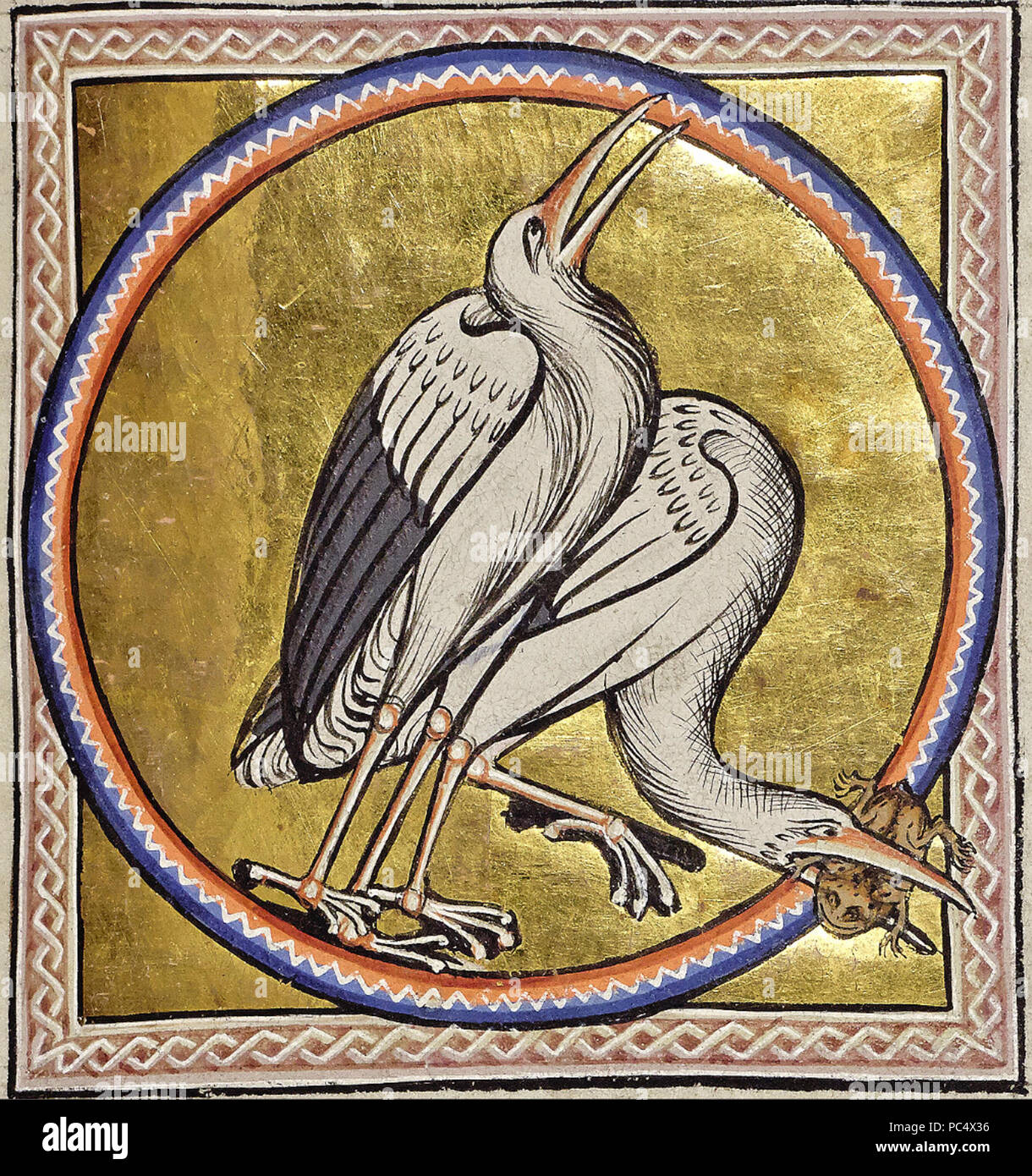 669 Аисты. Миниатюра из Абердинского бестиария Stock Photo - Alamy