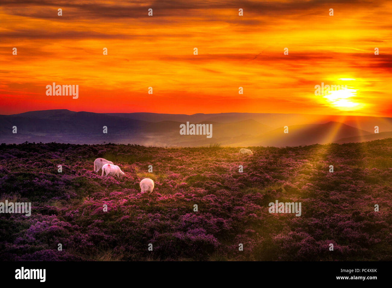 A beautiful sunset in the peak district Stock Photo - Alamy