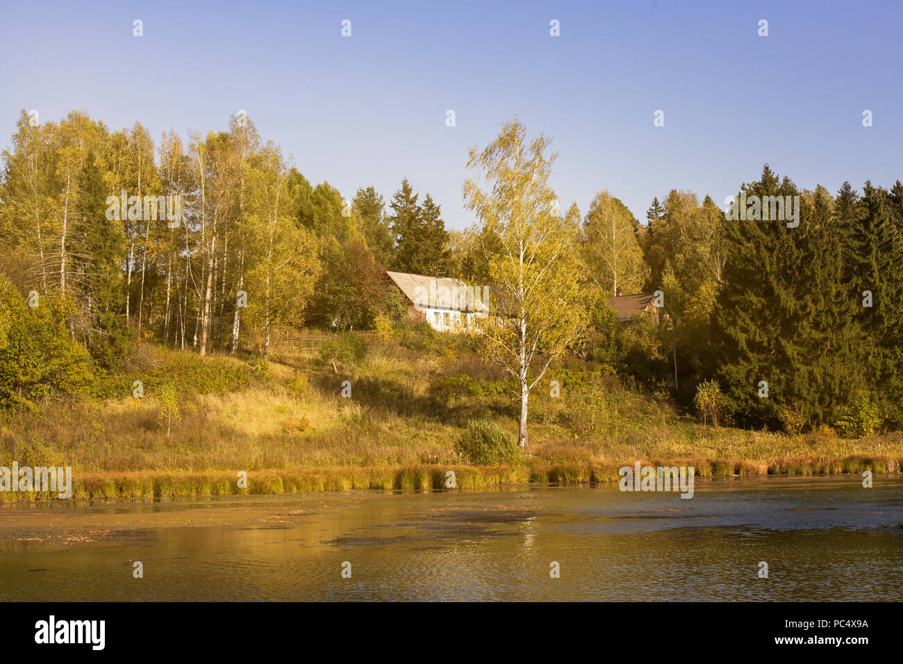 Bright Sunny sky in autumn moderate autumn forest with wild river and ...