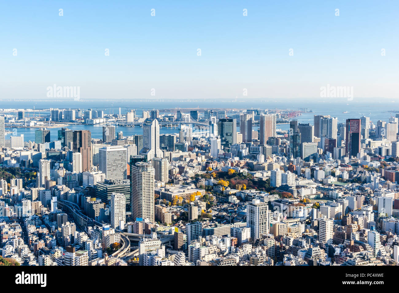 Asia Business concept for real estate and corporate construction ...