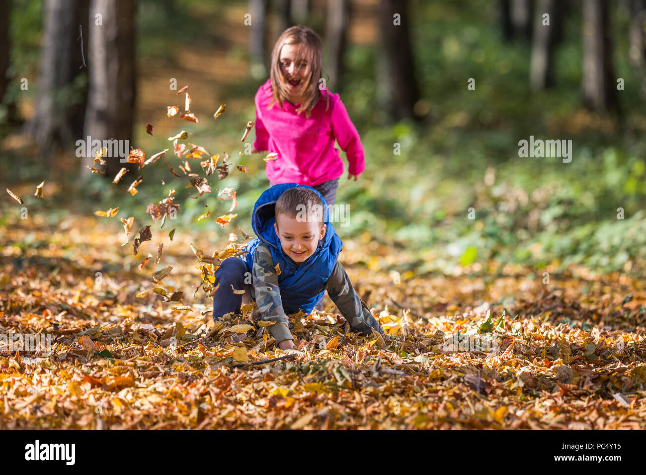 Children playing with autumn fallen leaves in park Stock Photo - Alamy