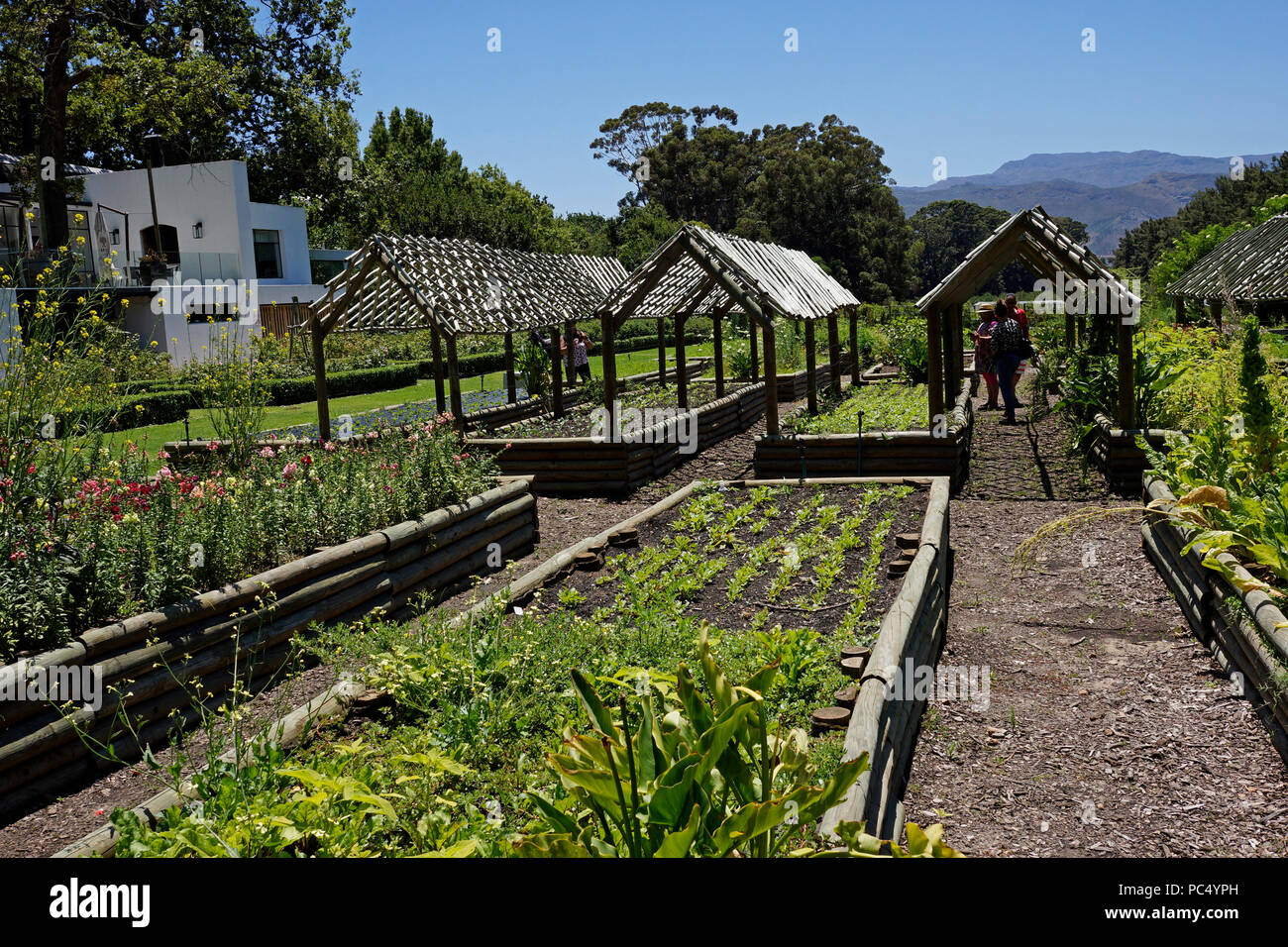 The Werf Food garden at Boschendal Wine Estate in the Drakenstein ...