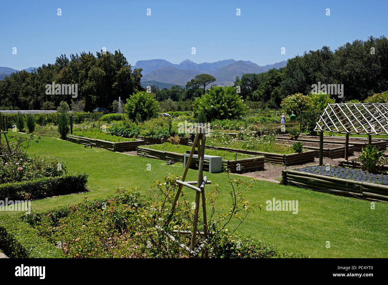 The Werf Food garden at Boschendal Wine Estate in the Drakenstein ...