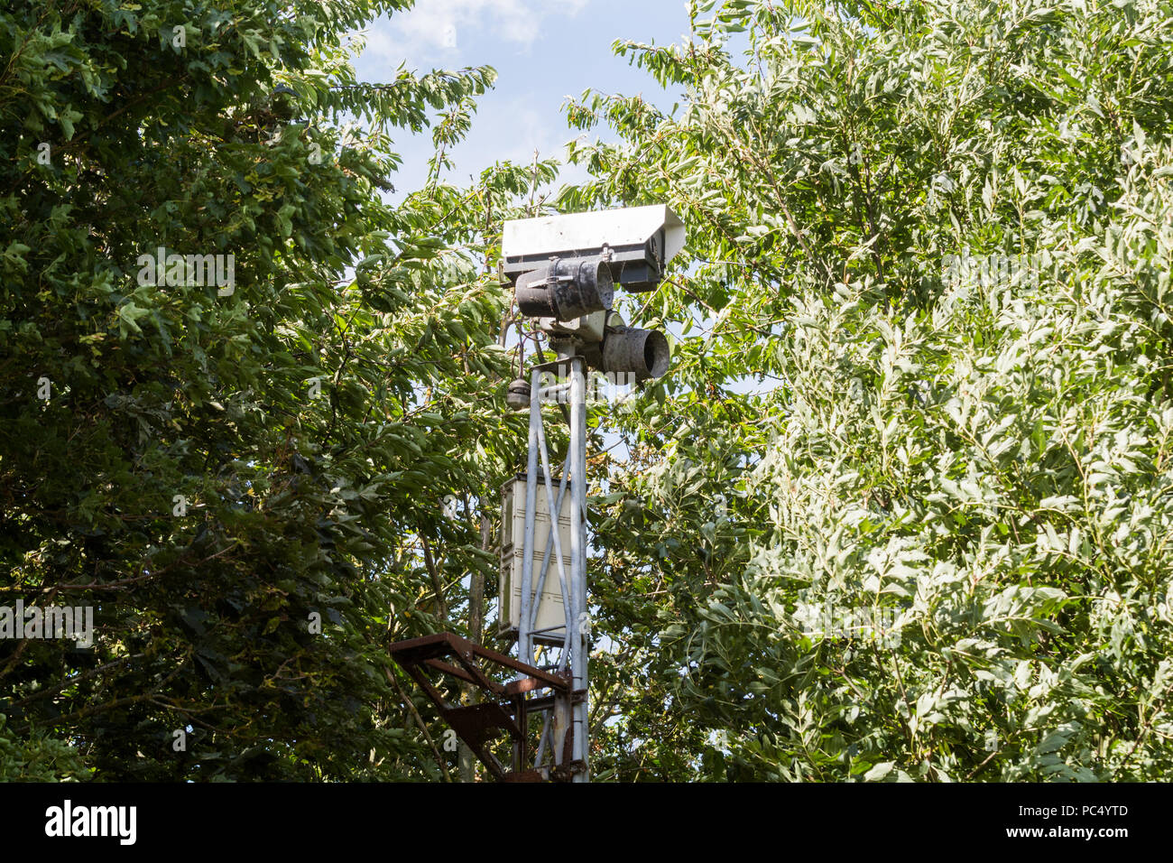 Video of trees hi-res stock photography and images - Alamy