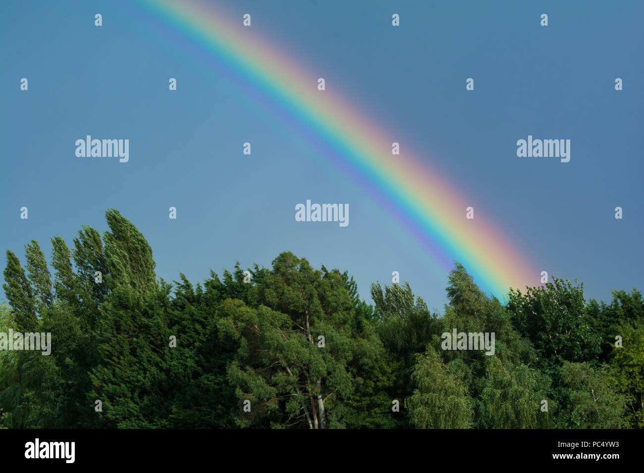 Bright Rainbow in stormy sky over forest Stock Photo - Alamy