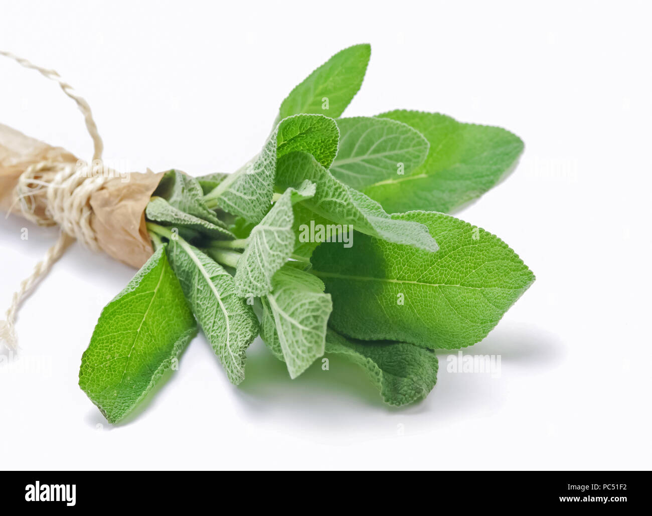 Sage bunch isolated on white Stock Photo - Alamy