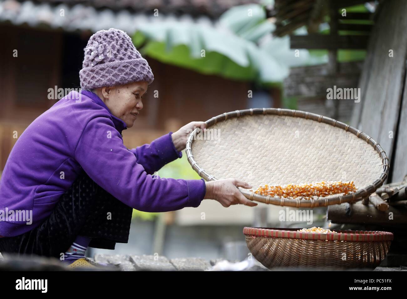 Winnowing corn hi-res stock photography and images - Alamy