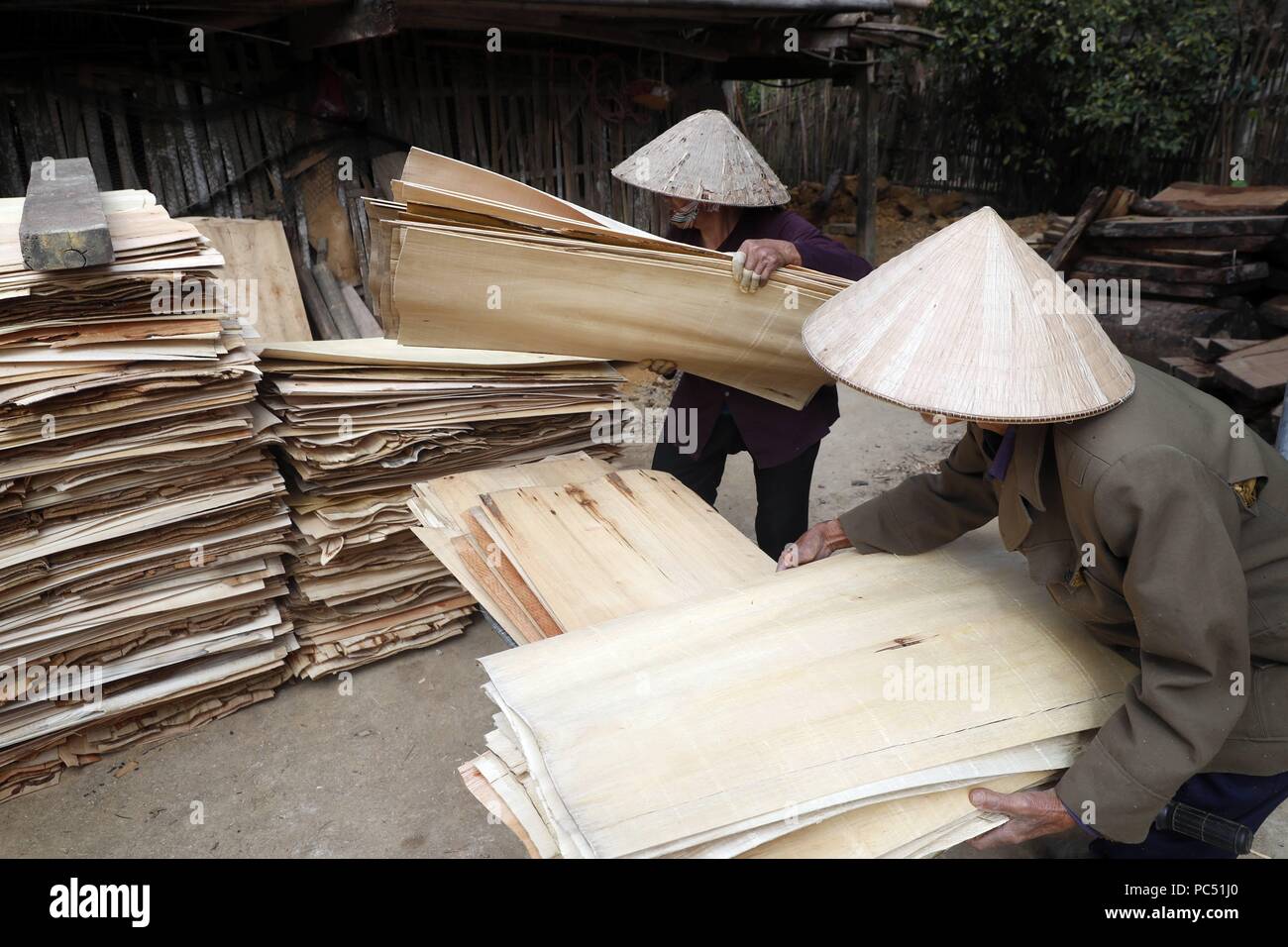 Workers in wood factory. Bac Son. Vietnam. | usage worldwide Stock ...