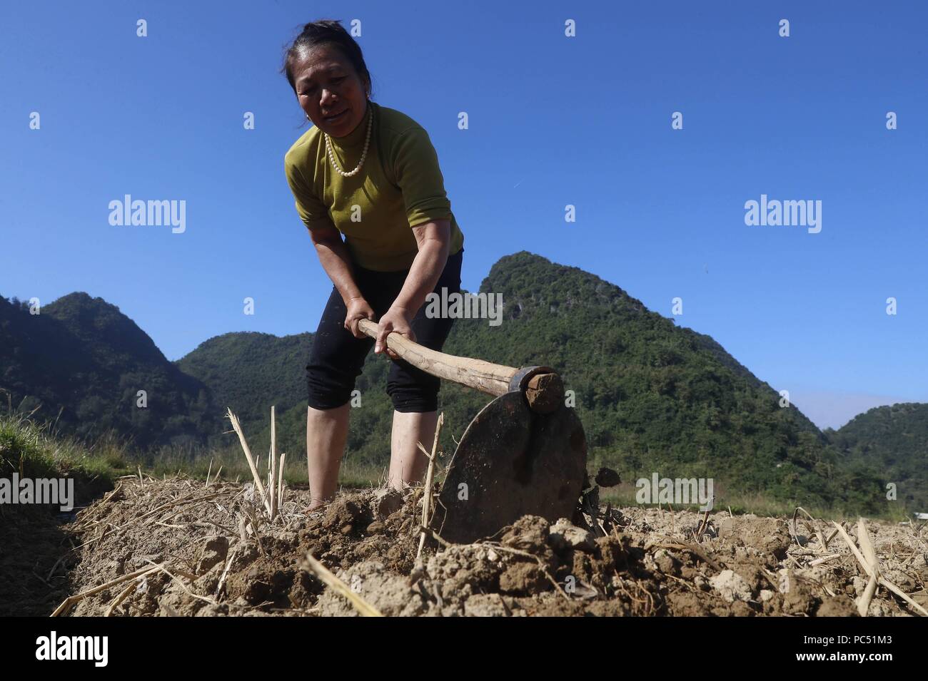 Rural life. Vietnamese woman digging soil with hoe in field. Bac Son ...