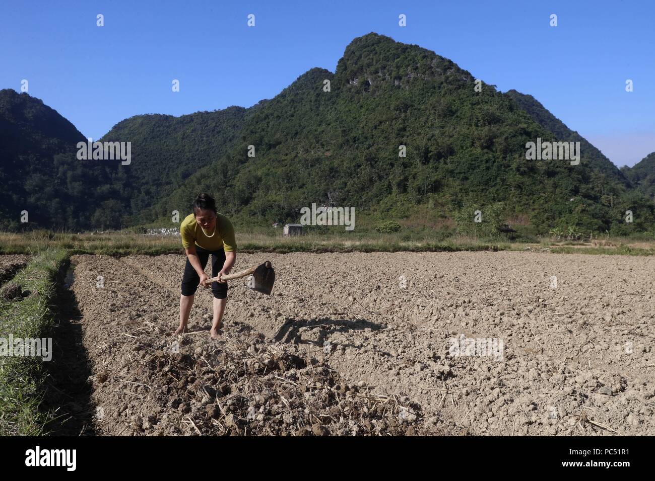 Hoe usage hi-res stock photography and images - Alamy