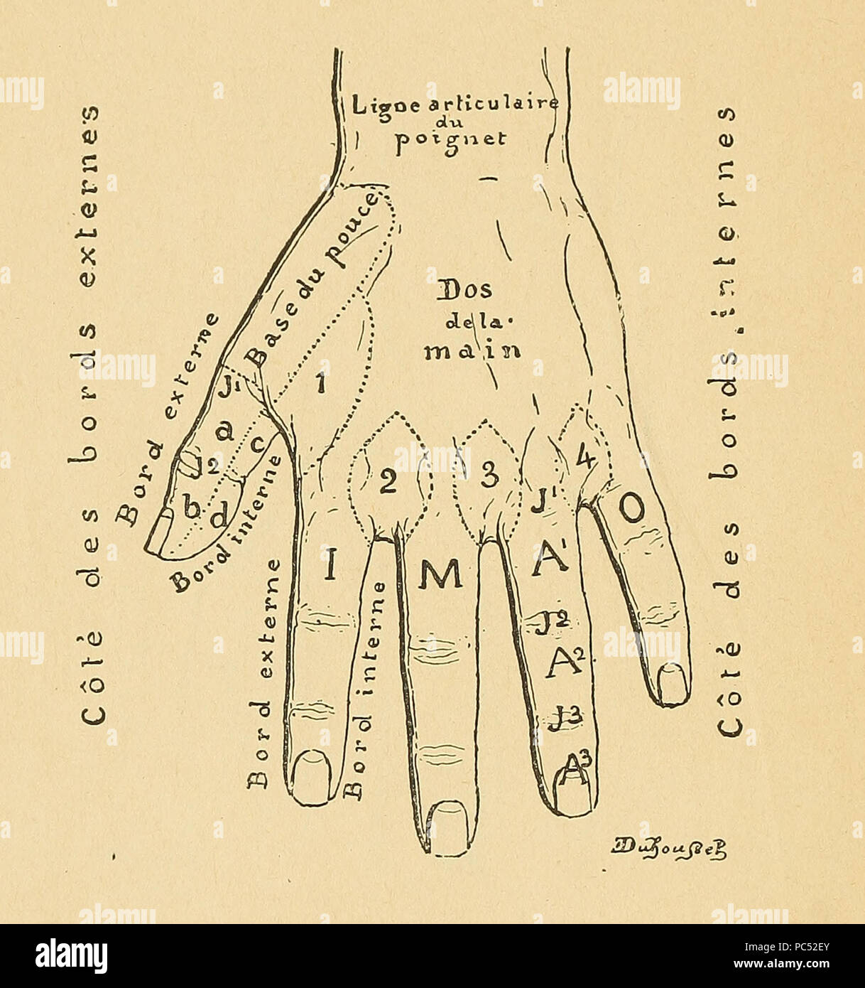14 Bertillon - Identification anthropométrique (1893) 354 Stock Photo ...