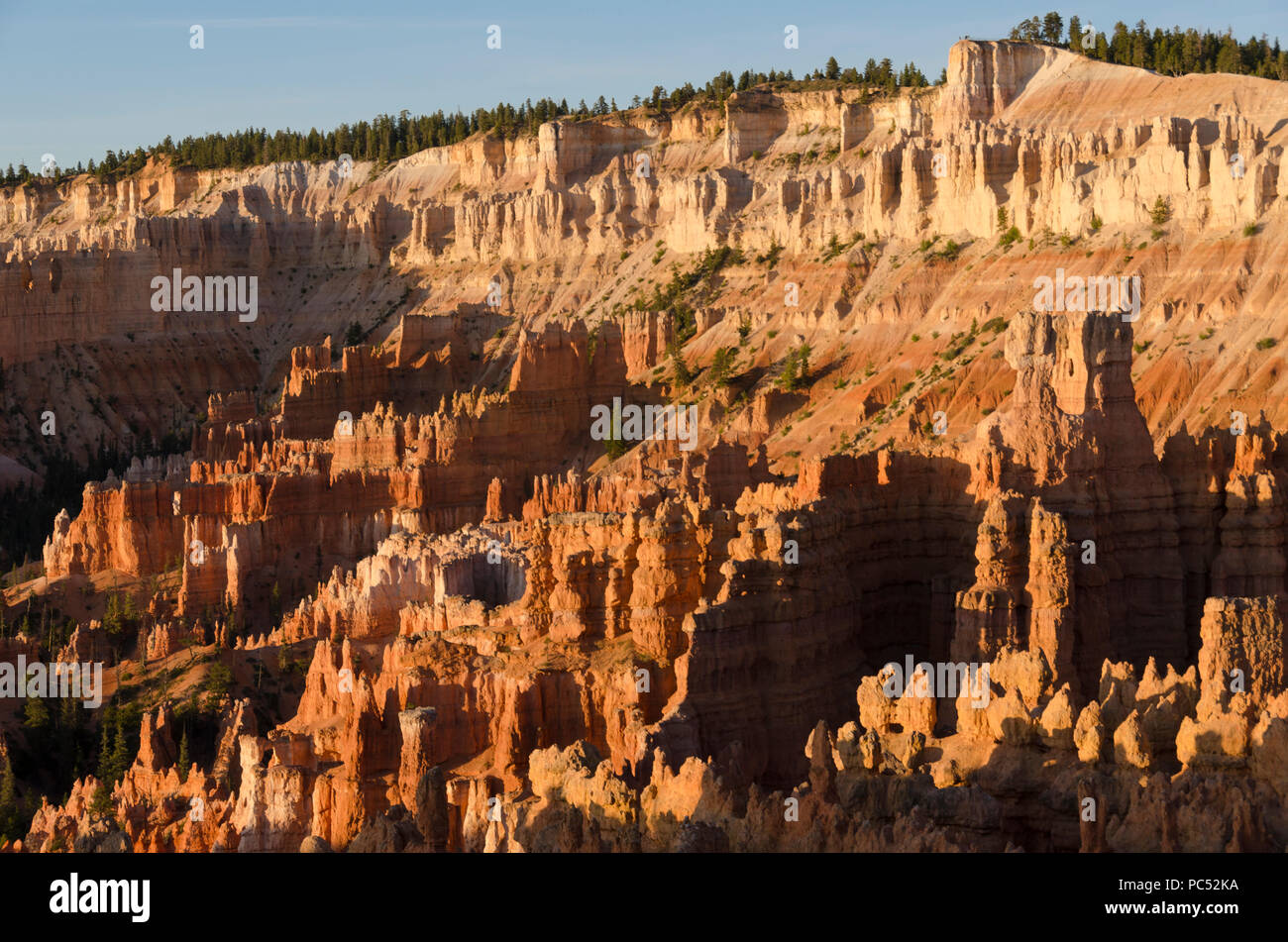 landscape on the bryce canyon in the united states of america Stock ...