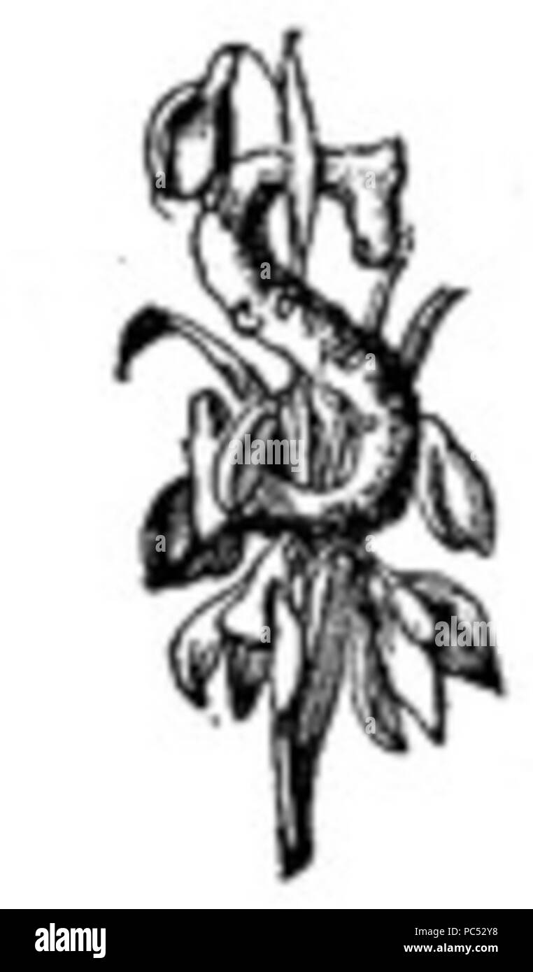 Type 23 Cut Out Stock Images & Pictures - Alamy