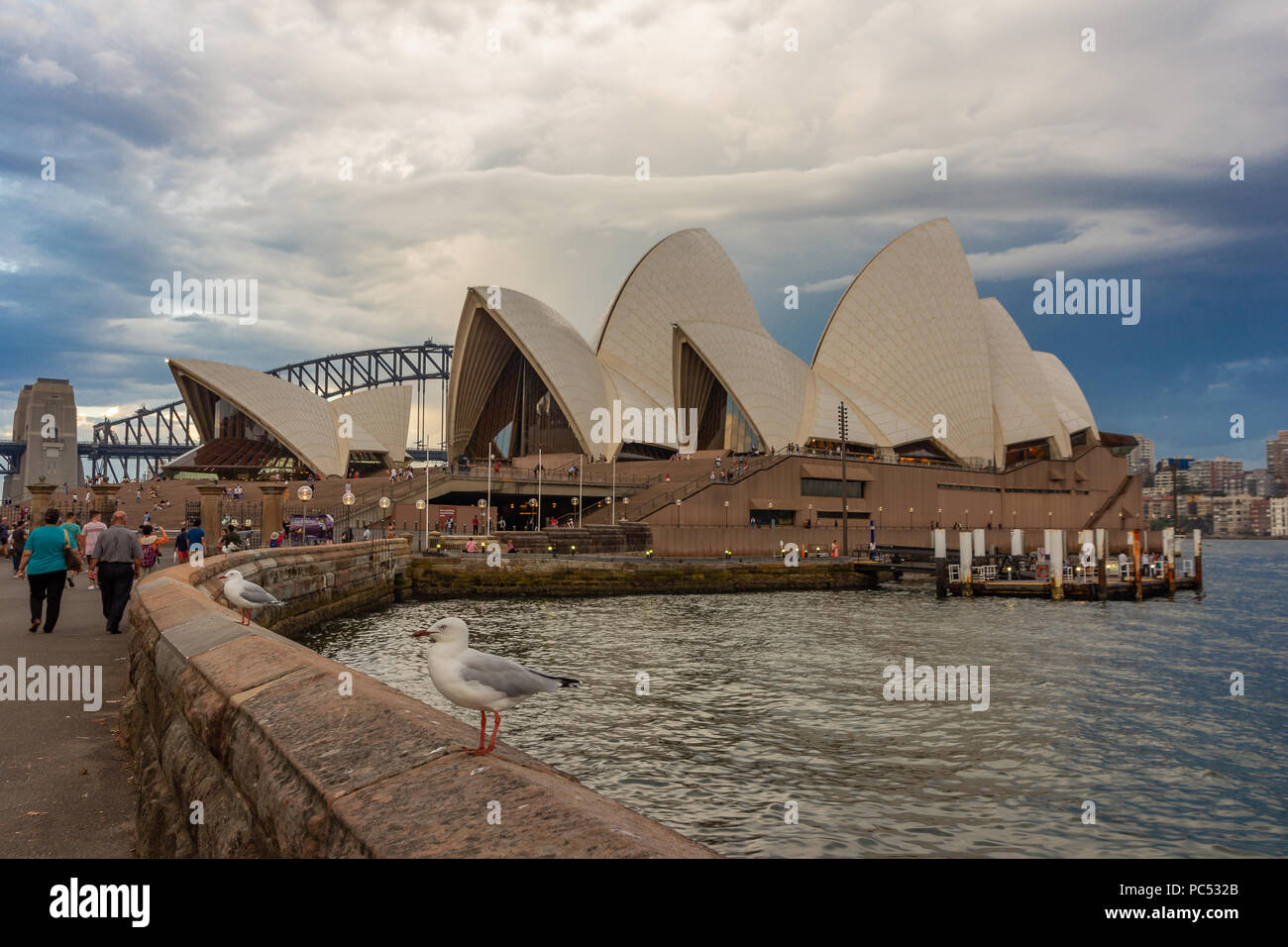 Sydney Opera House view from Botanic garden with Harbour Bridge in ...