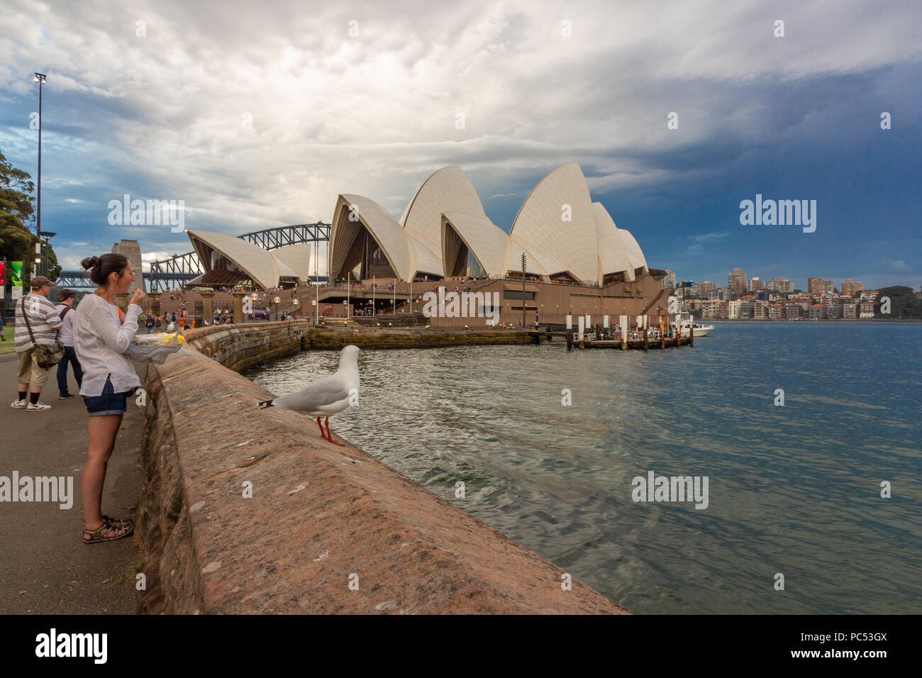 Sydney harbor bridge opera house aerial hi-res stock photography and ...