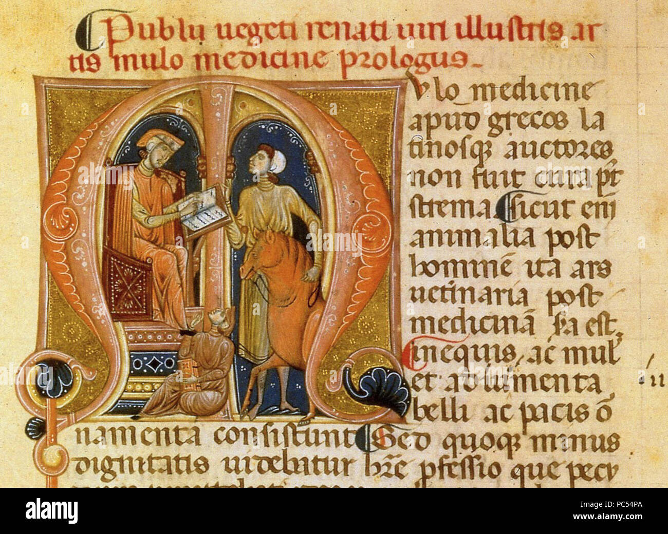 522 Rinaldo da Siena. Miniature in Tractate of Mulomedicina, detail. ca ...
