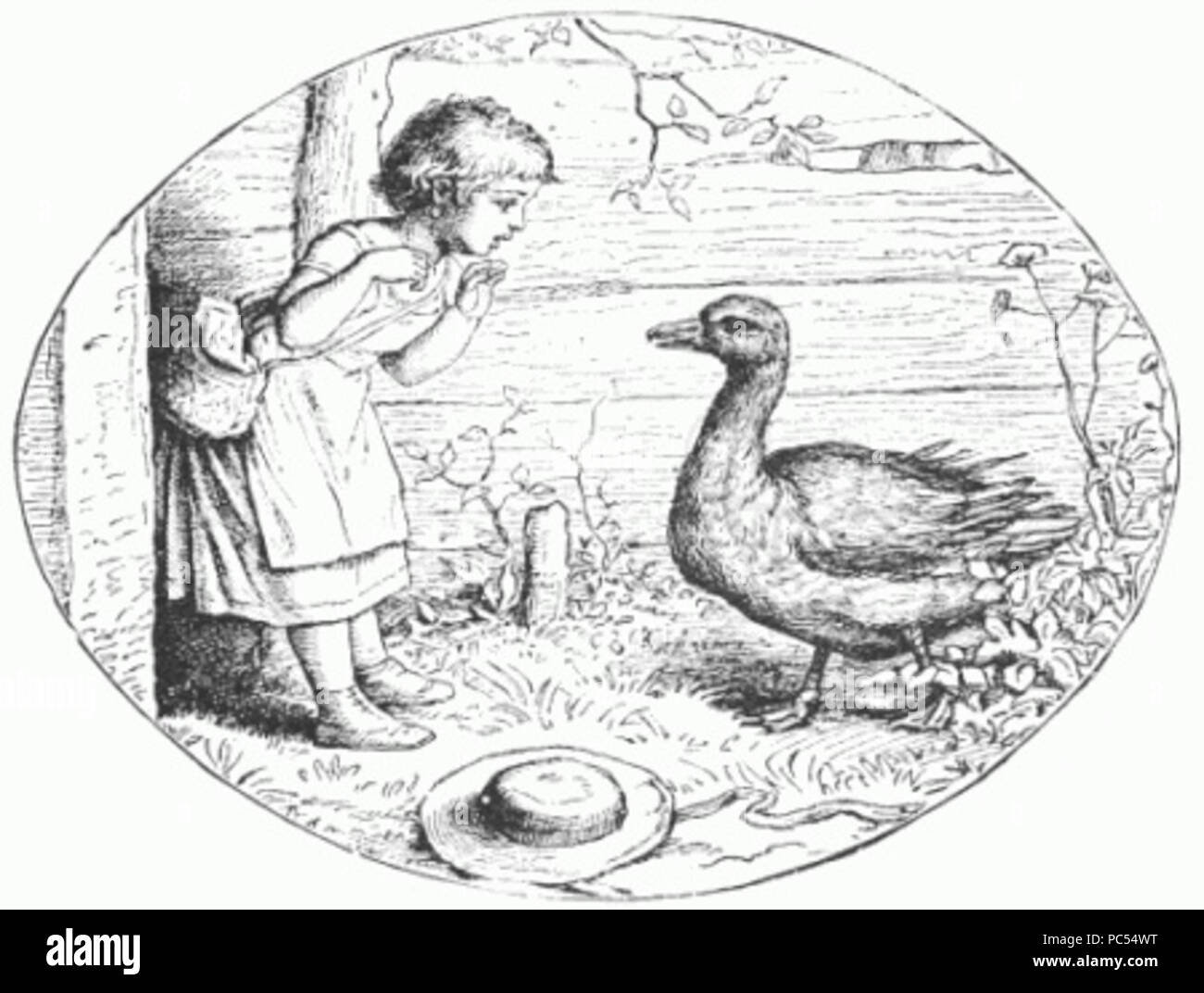 Goose drawing hi-res stock photography and images - Alamy