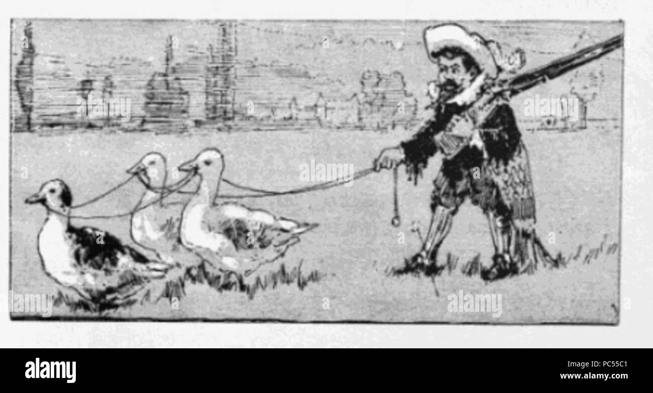 37 Geese on a Leash Stock Photo - Alamy