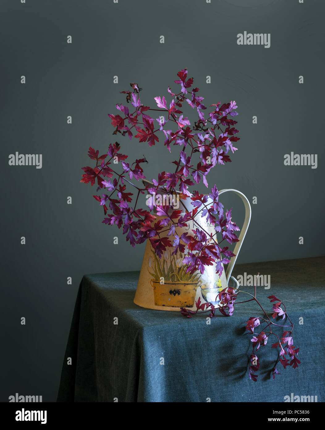 still life with a branch with red leaves. vintage Stock Photo - Alamy