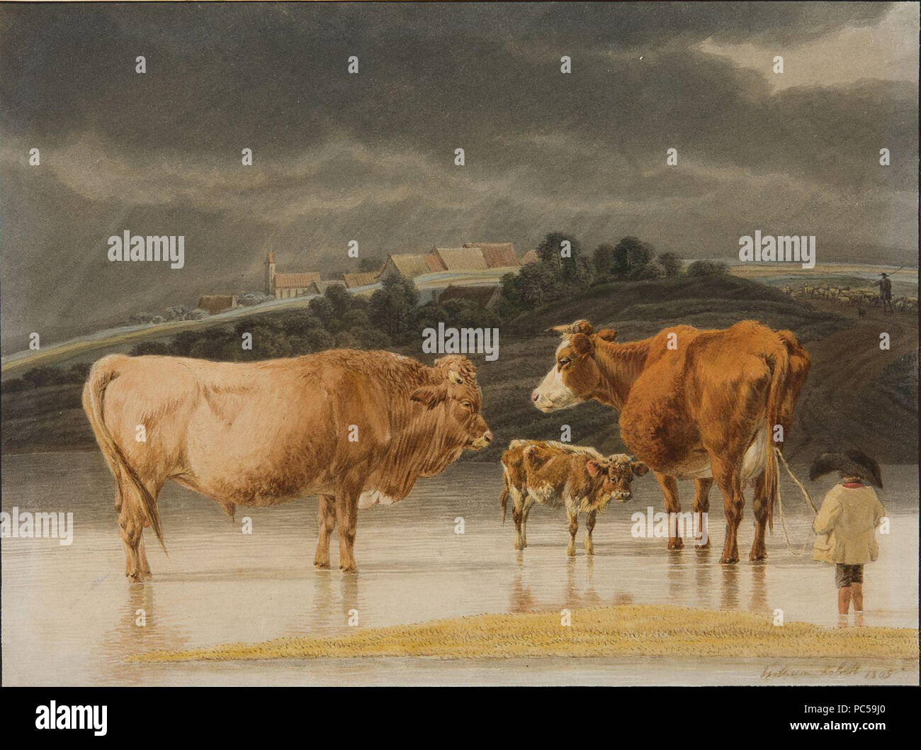 Isarufer hi-res stock photography and images - Alamy