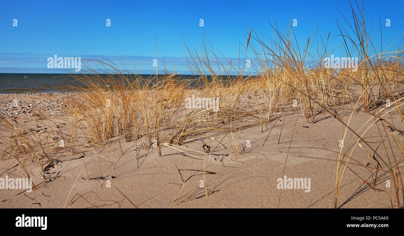 View to the Baltic sea Stock Photo - Alamy