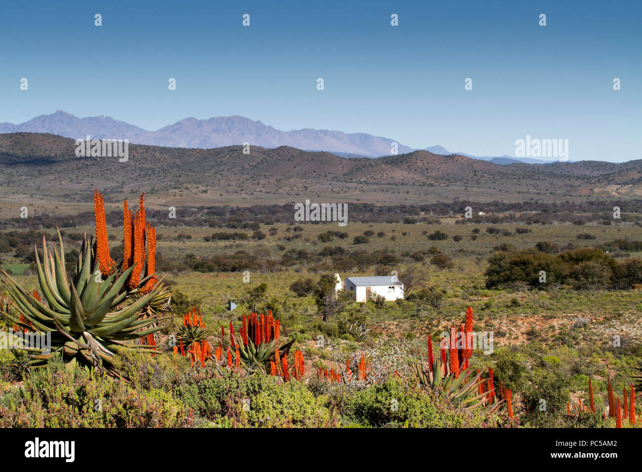 Karoo landscape hi-res stock photography and images - Alamy