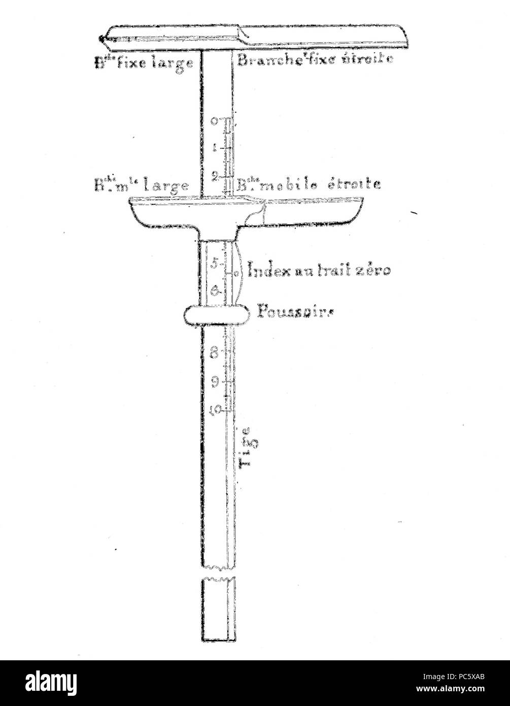 13 Bertillon - Identification anthropométrique (1893) 249 n&b Stock ...