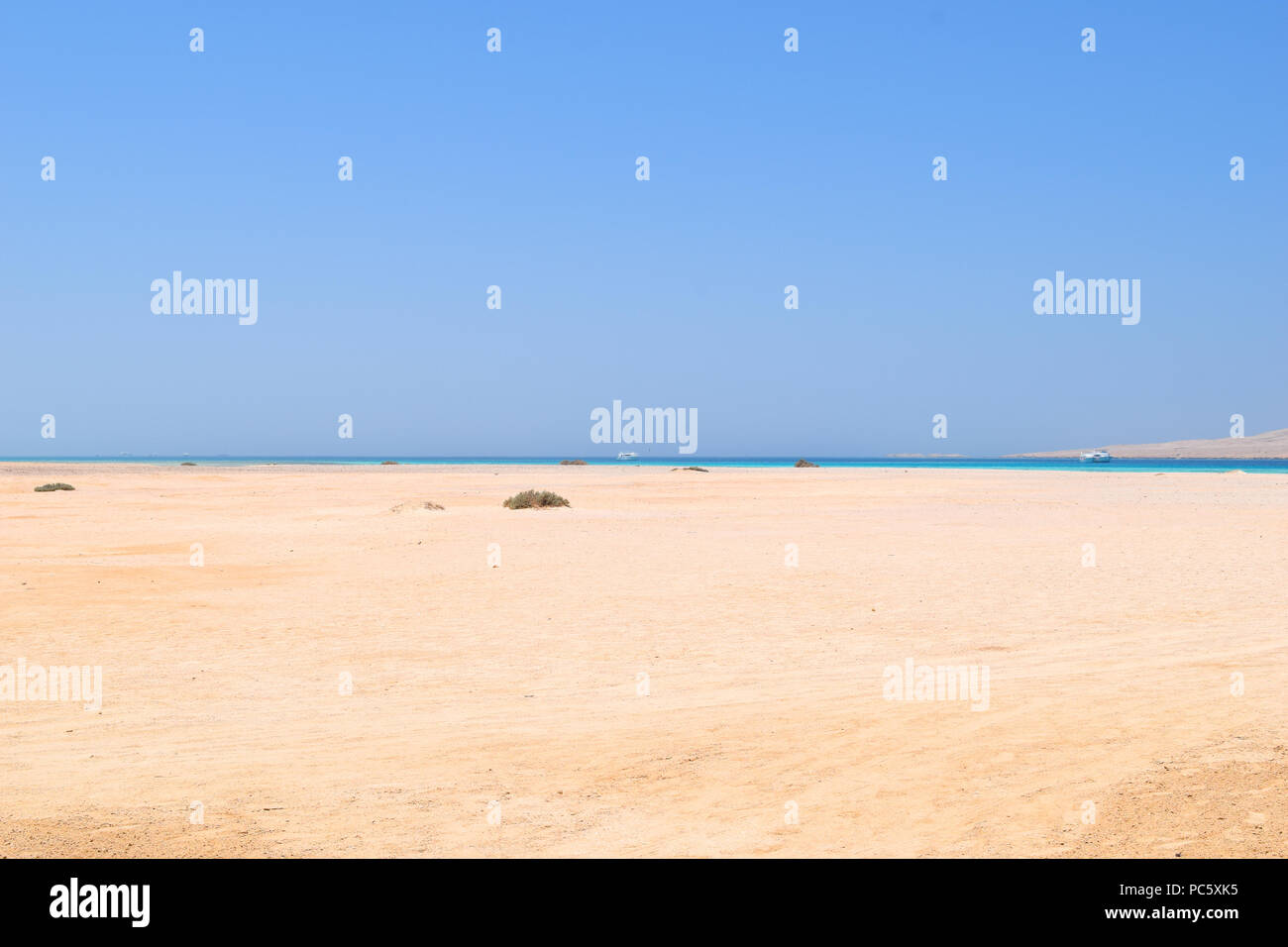 beach of Mahmya island with turquoise water, Egypt Stock Photo - Alamy