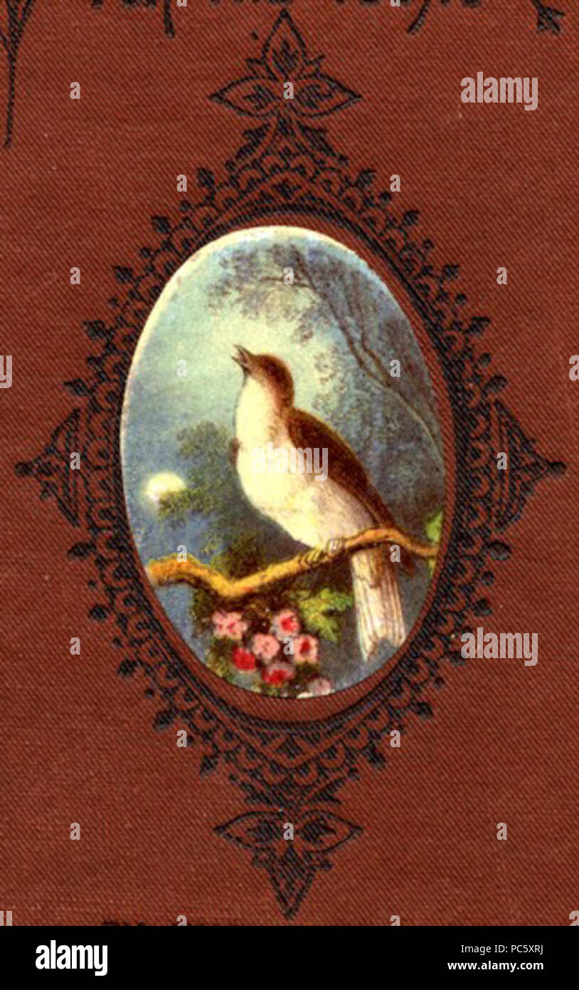 Magazine bird cover hi-res stock photography and images - Alamy