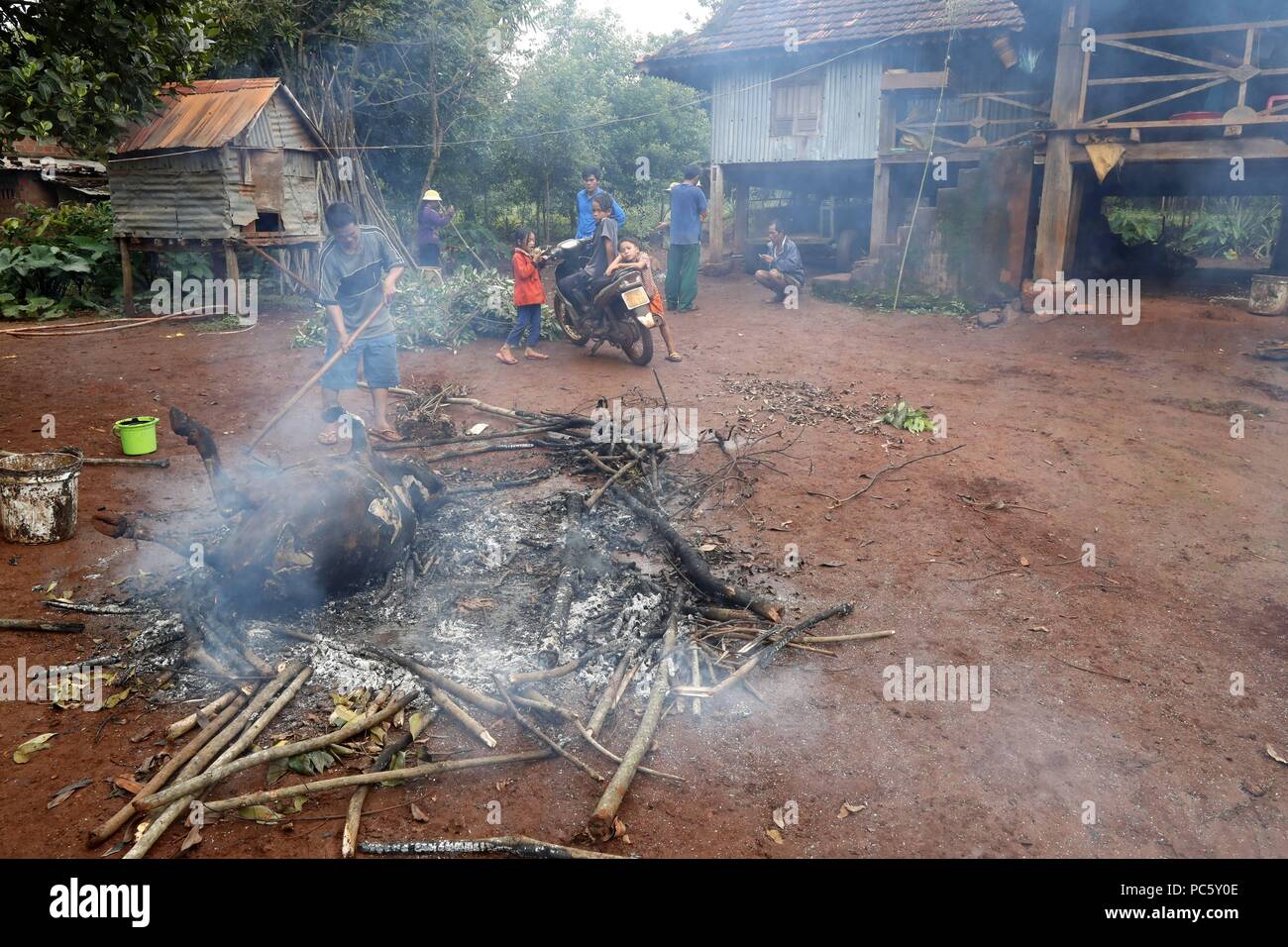 Jarai (Gia Rai) ethnic group. Buffalo sacrifice for funeral rites. Kon ...