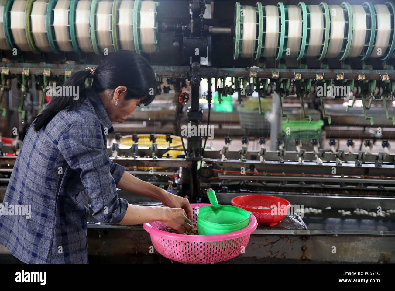 Traditional silk factory. Woman working on silk spinning machine. Dalat ...