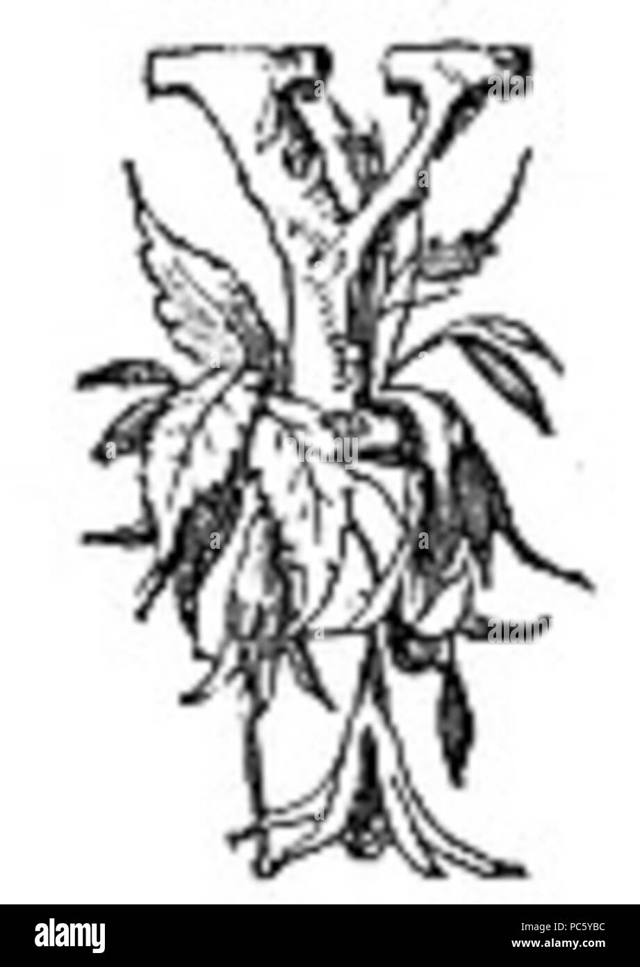 17 Capital Letter Y Illustration Stock Photo - Alamy